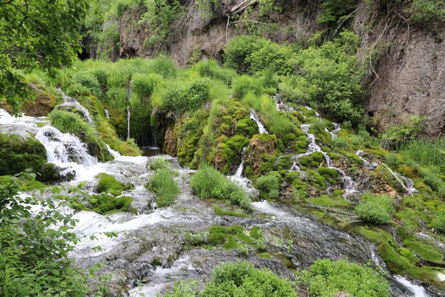 Spearfish Canyon: The #1 Gem Of The Northern Black Hills