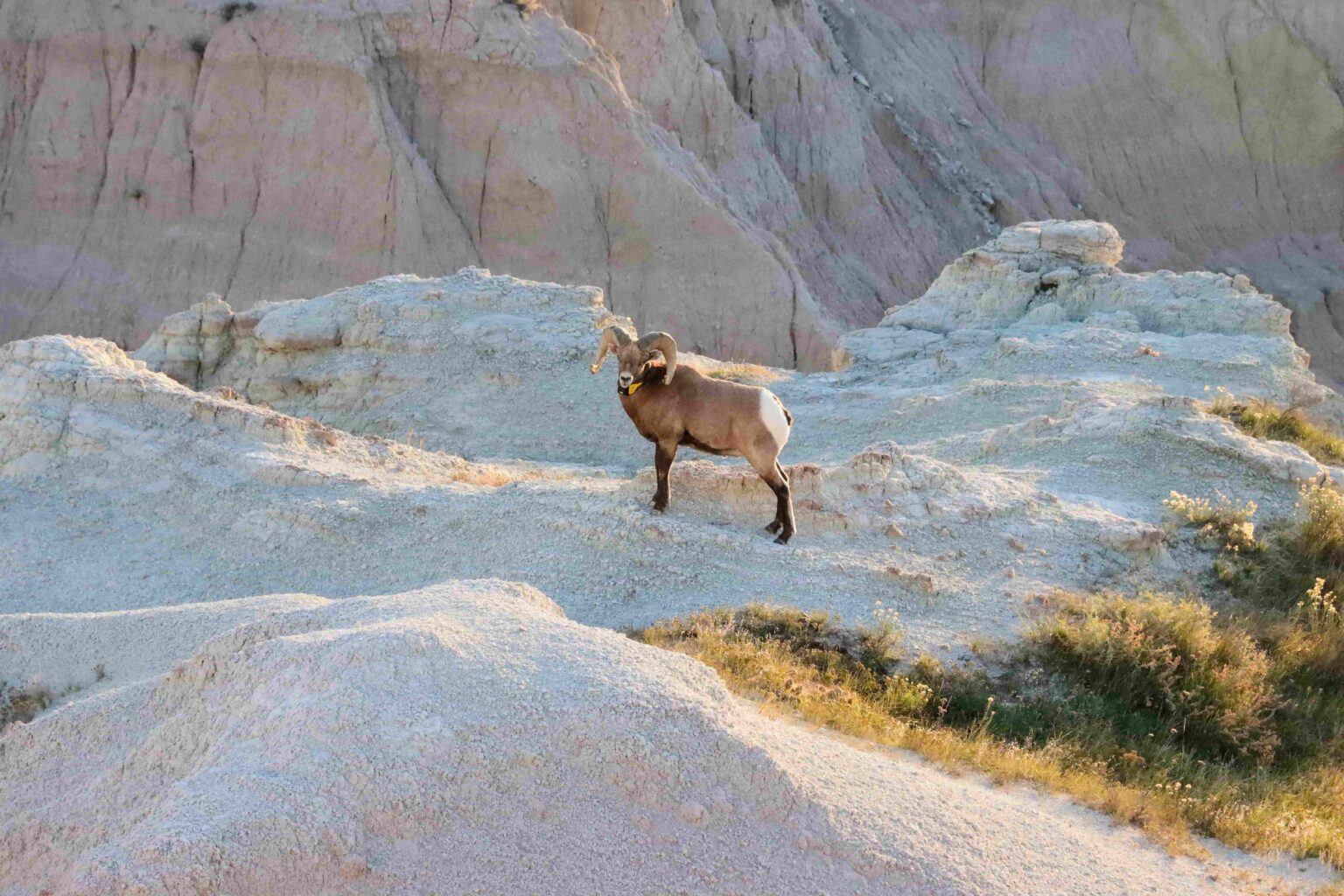 Best Viewpoints In Badlands National Park | My XO Adventures
